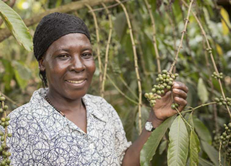 Virginia Ingatherings | ingathering